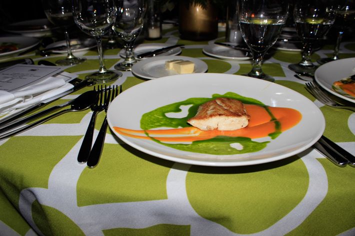 Fish at Starry Night | My Anguilla Experience