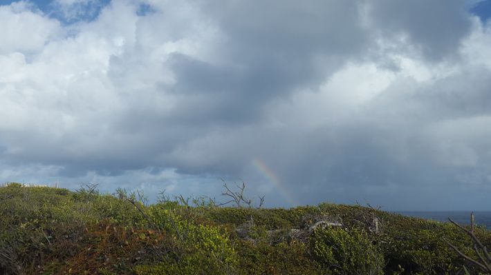 5 Do’s – Hiking along Coast in Anguilla | My Anguilla Experience